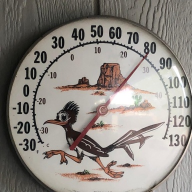 Panic Mouse! | OldMiniBikes.com