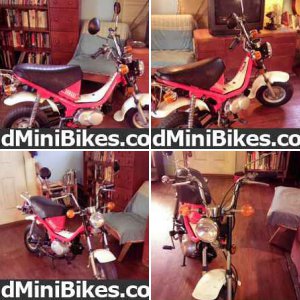 1980 Yamaha Chappy | OldMiniBikes.com