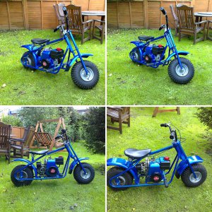 Trail Sport Mini Bike - Modified | OldMiniBikes.com