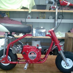 deltek deckson daredevil | OldMiniBikes.com