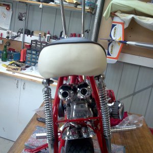 deltek deckson daredevil | OldMiniBikes.com