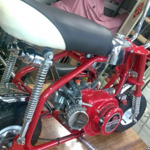 deltek deckson daredevil | OldMiniBikes.com